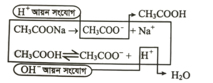 begin{array}{l}\mathrm{CH}_{3}-\mathrm{COOH}(\mathrm{aq}) \rightleftharpoons \mathrm{CH}_{3 ...